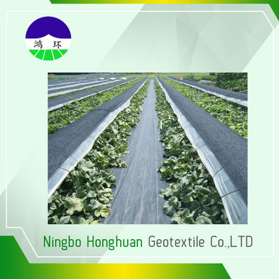 Quality Woven Geotextile Fabric & Non Woven Geotextile Fabric factory ...